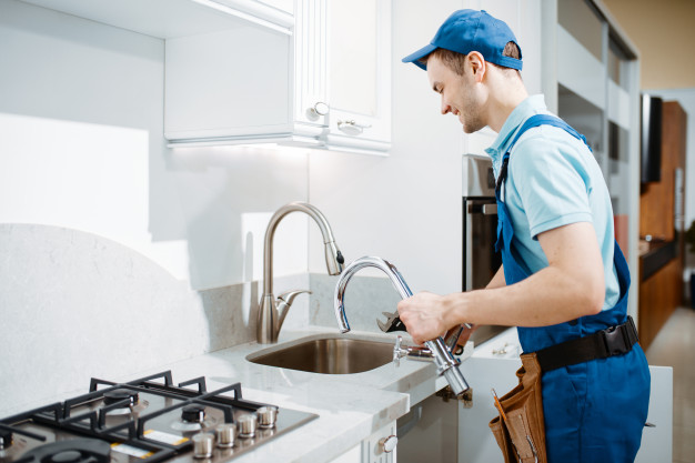 Plumbing Services Accounting - Online Check Writer